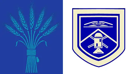 Ignite | Case Study | IRIS Adapt